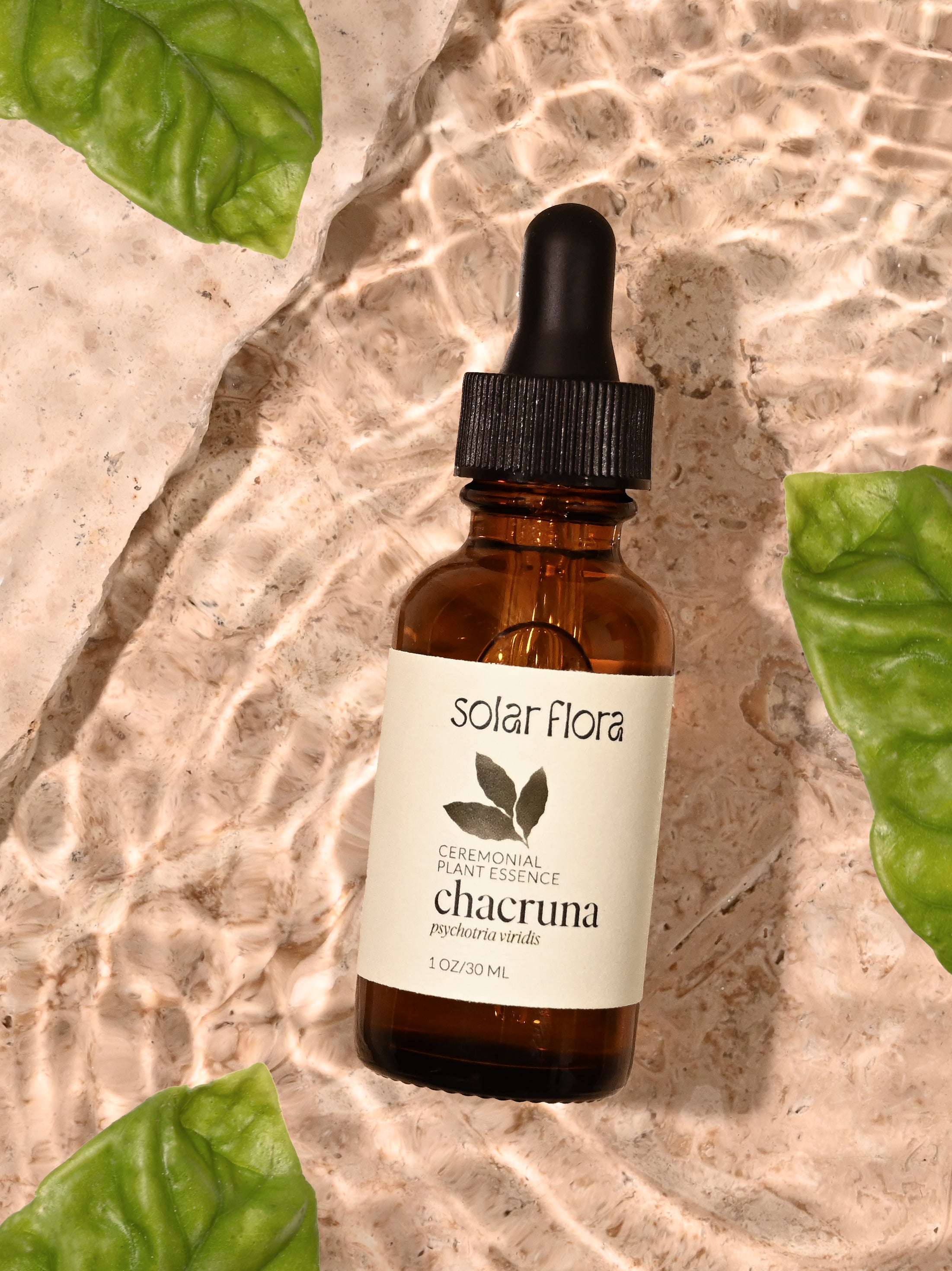 Ceremonial Plant Essence: Chacruna – Solar Flora